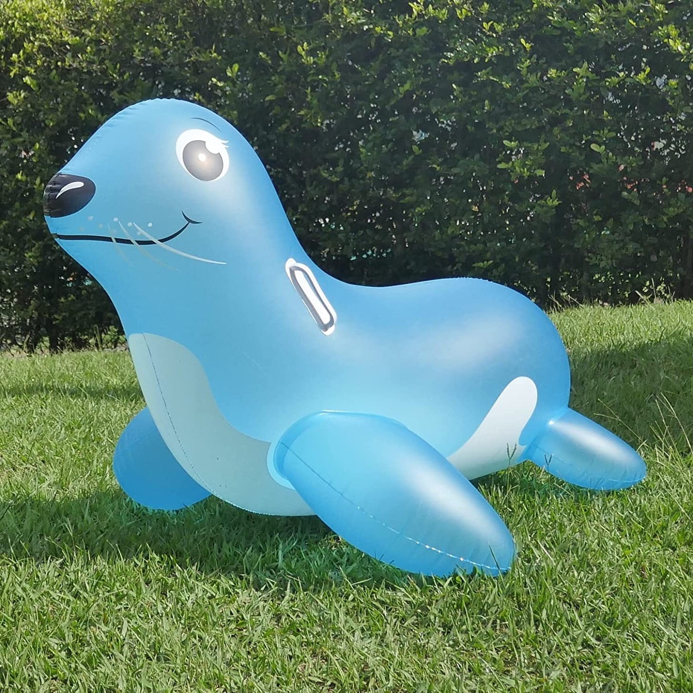 Inflatable Sea Lion Pool Float – Atlasonix